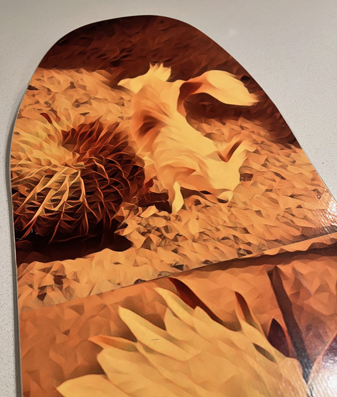 Custom Snowboard – Richard Frank-Huff